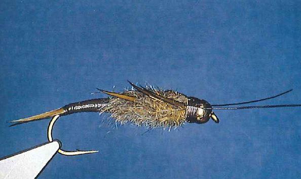 Goudkop steenvlieg - VNV Vliegvissen